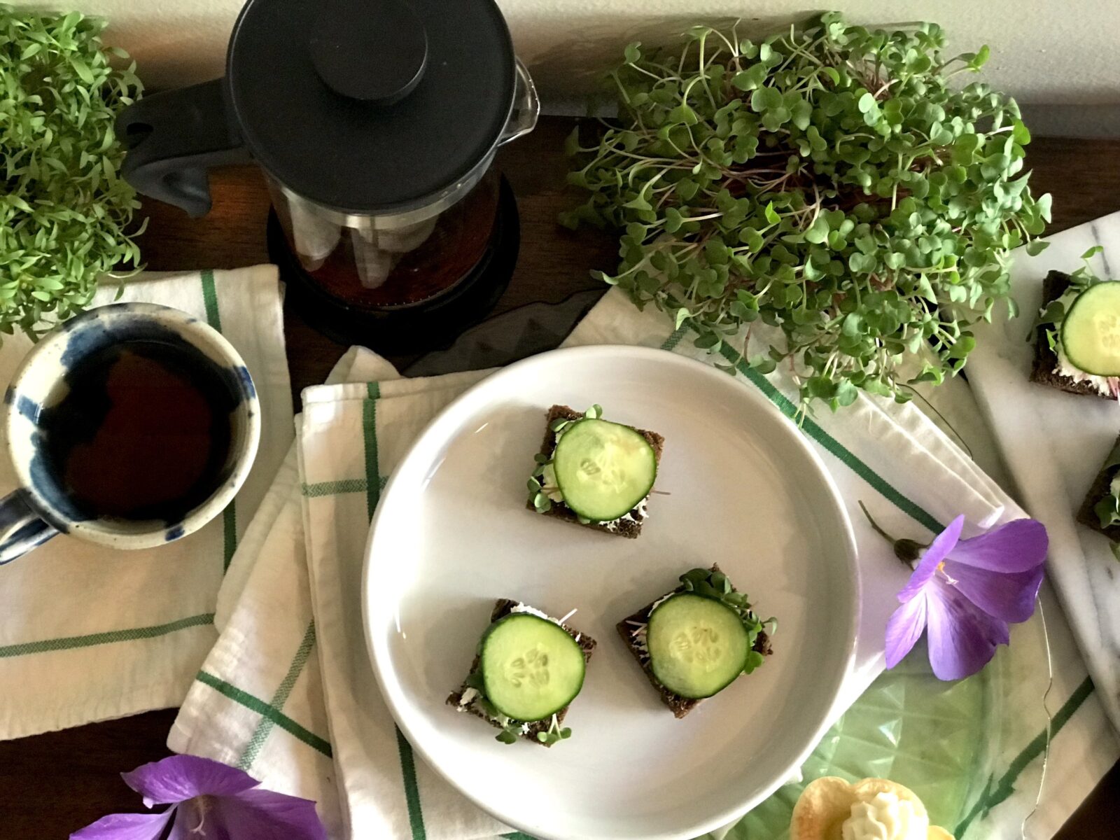 Microgreens 101: Learn All About Kohlrabi Microgreens - Quantum Microgreens