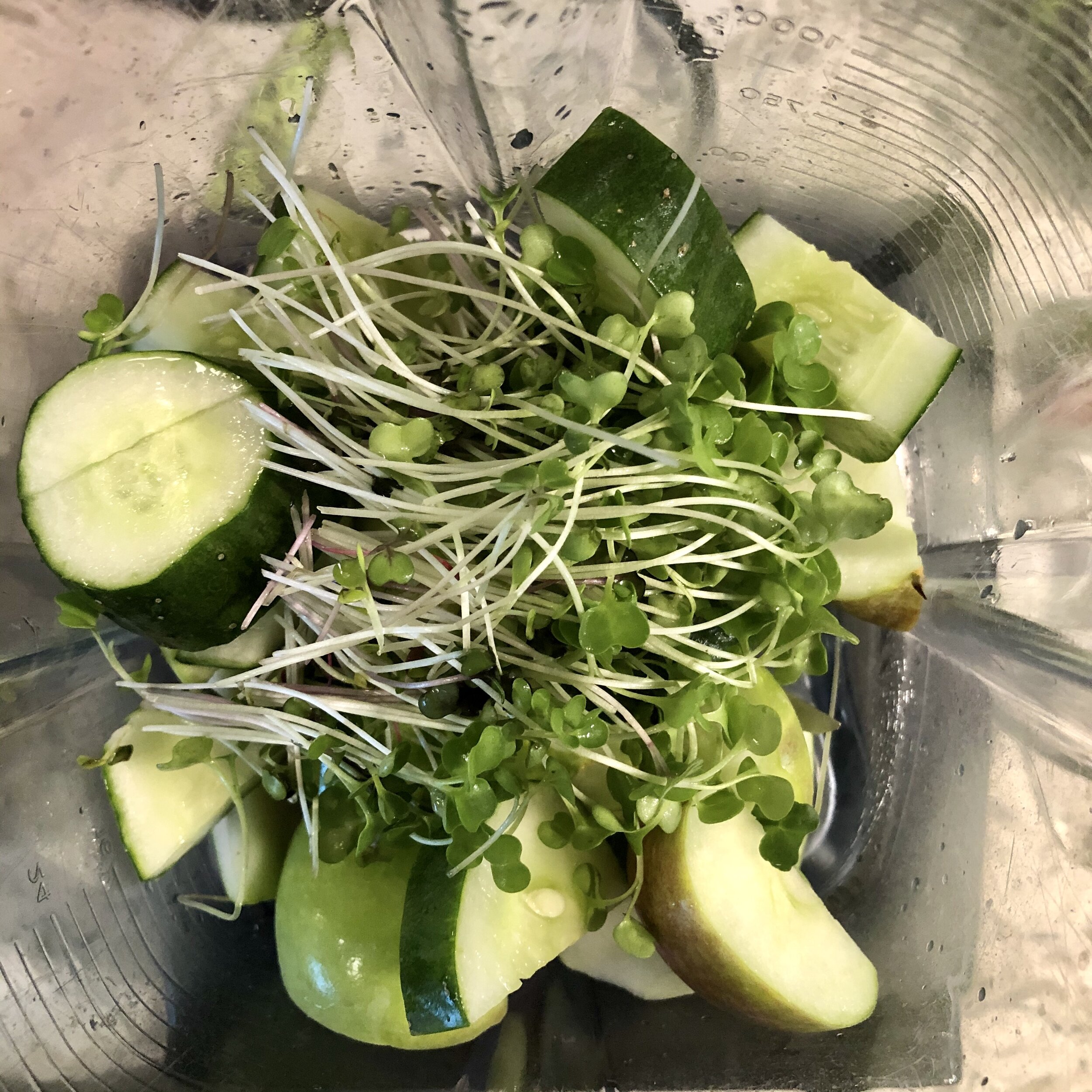 Microgreens Green Juice Recipe (Made in a Blender!) - Quantum Microgreens