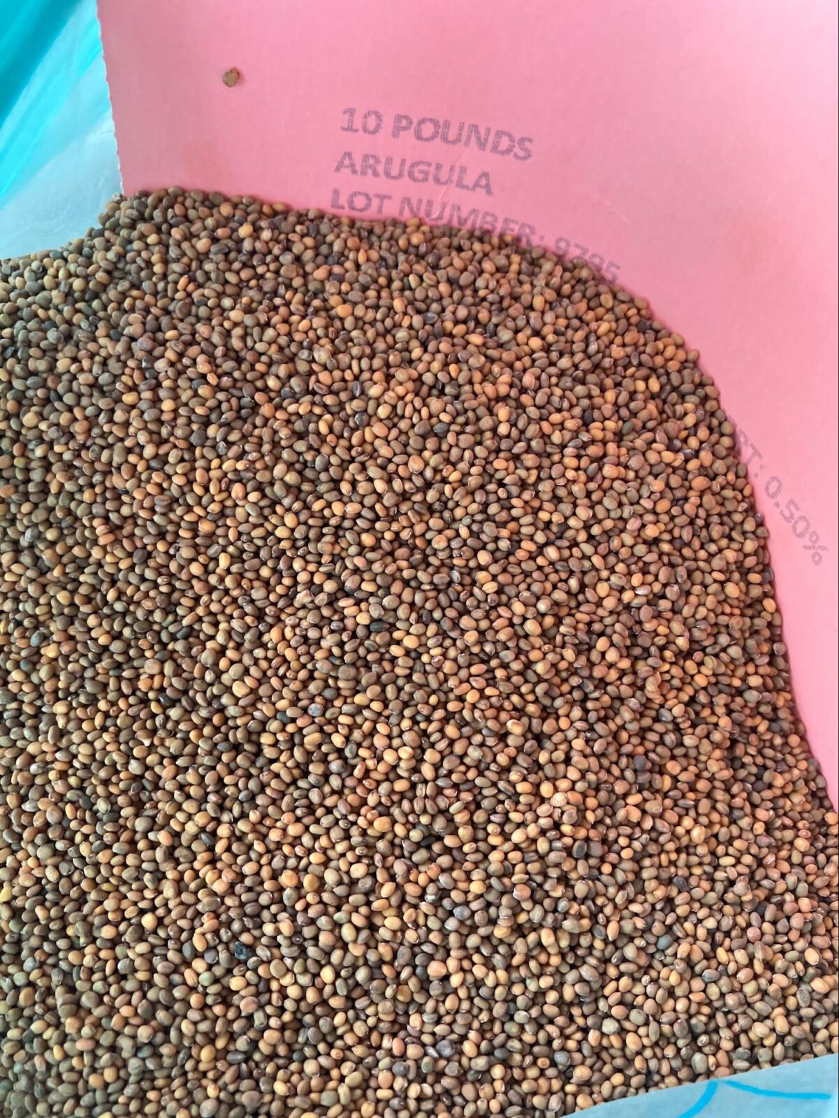 How to Grow Arugula Microgreens at Home (Step-By-Step Guide) - Quantum ...