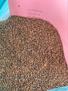 How to Grow Arugula Microgreens at Home (Step-By-Step Guide) - Quantum ...