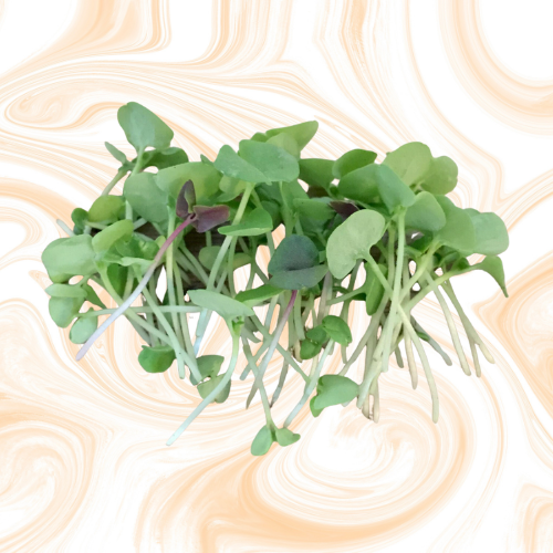 Cheesy Baked Microgreens Frittata - Quantum Microgreens